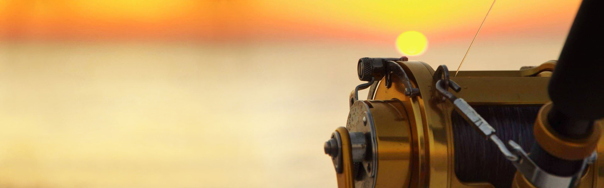 Exclusive Collection Of Clothing And Accessories for ocean adventure ...