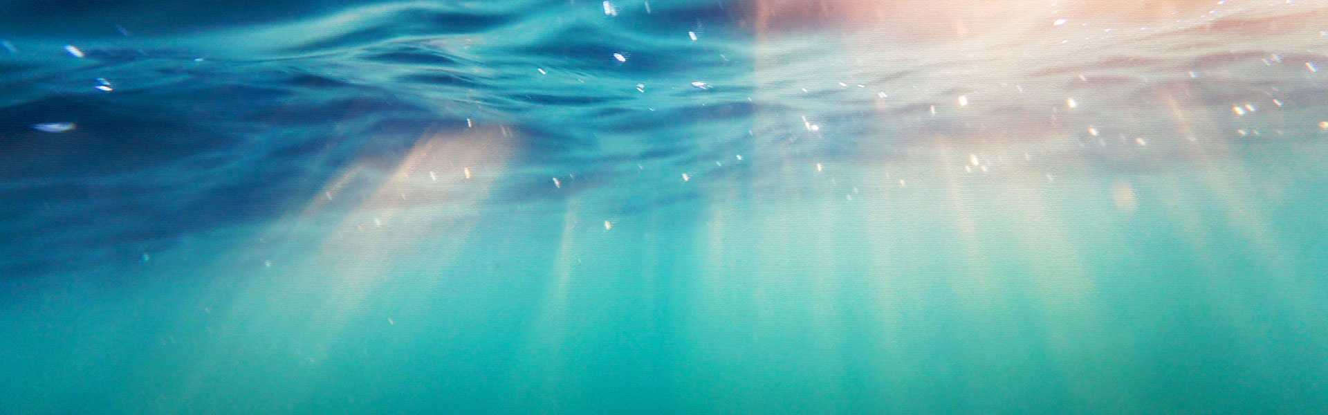 Exclusive Collection Of Clothing And Accessories for ocean adventure ...